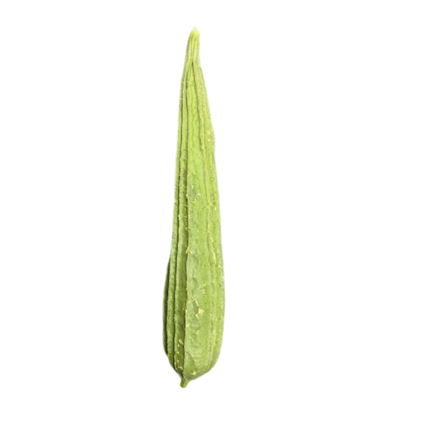 Fresh Turia (Ridge Gourd / Turai / Beerakaya / Peerkangai ...