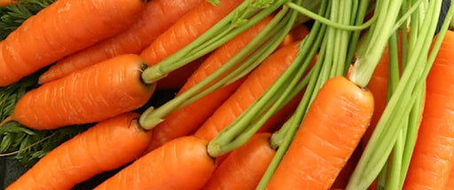 Buy British Carrots Online - Sweet & Crunchy – Grocery Wala