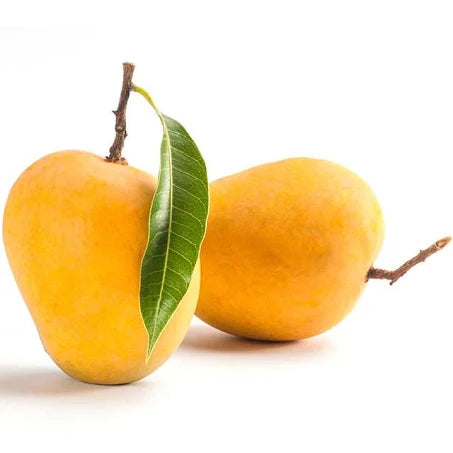 Buy Alphonso Mango Box of 12 - Sweet & Rich – Grocery Wala