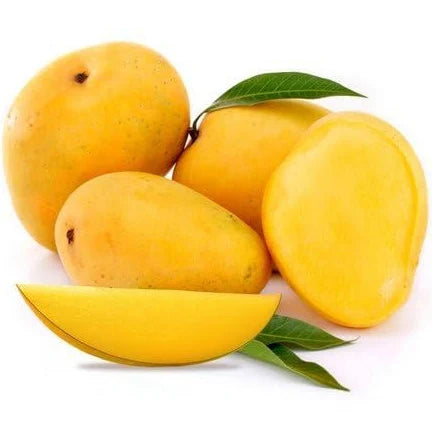 Buy Kesar Mango Box of 12 - Sweet & Aromatic – Grocery Wala